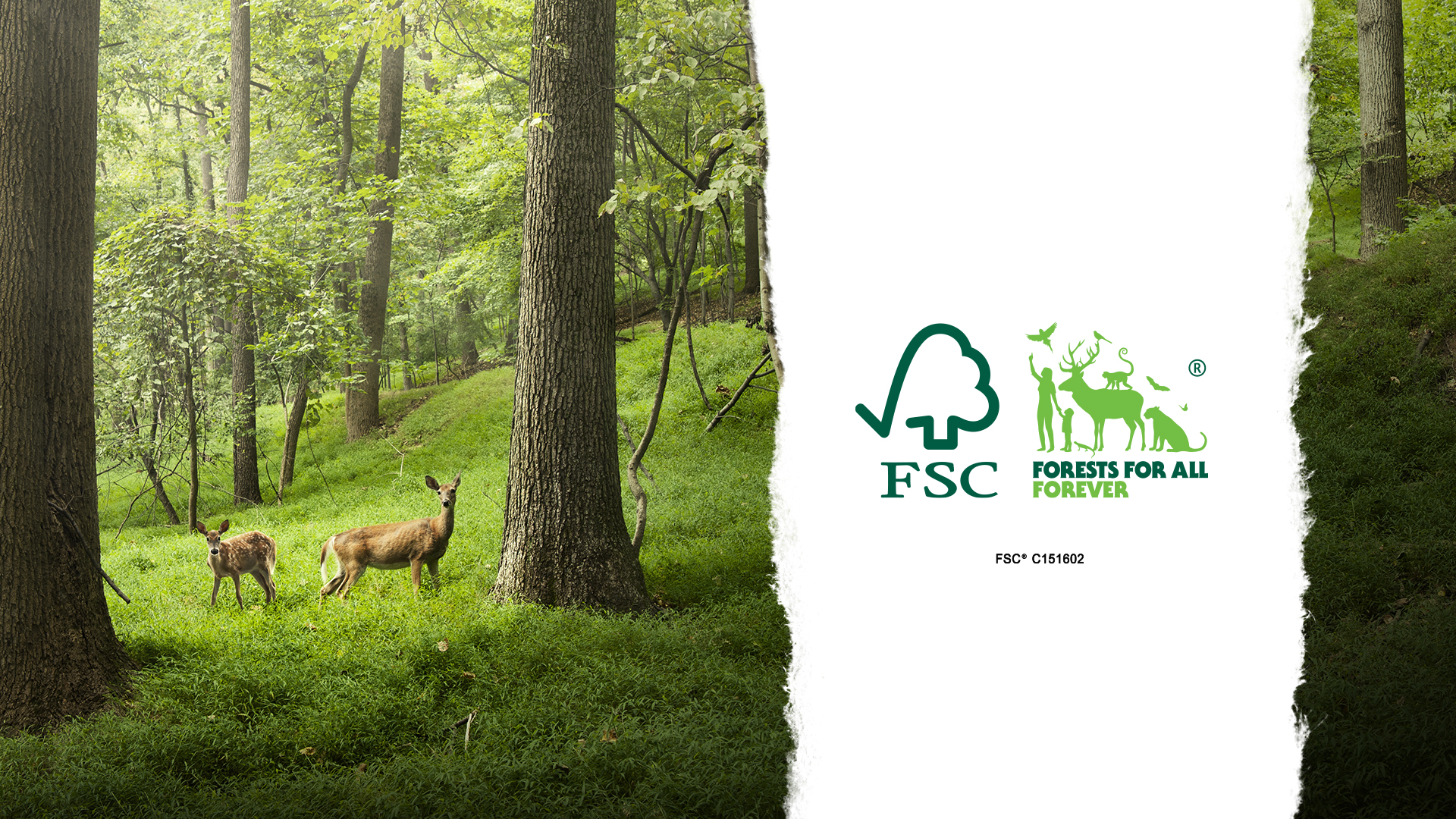 FSC papier & FSC certifikát - cesta k udržateľnej tlači. Čo je FSC ...